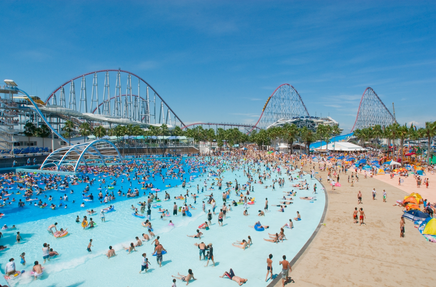 Things To Do in Nagoya with Kids - Snow Monkey Resorts