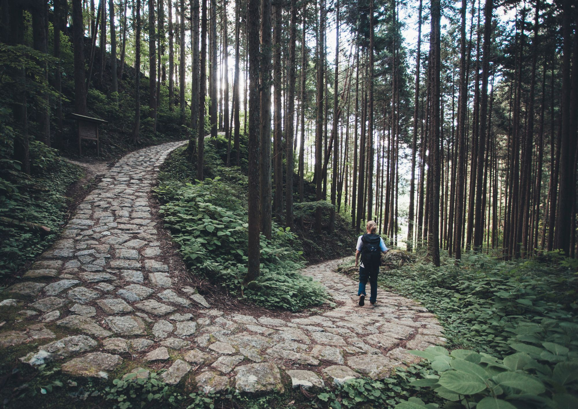 Best Hiking Trails Near Nagoya - Snow Monkey Resorts