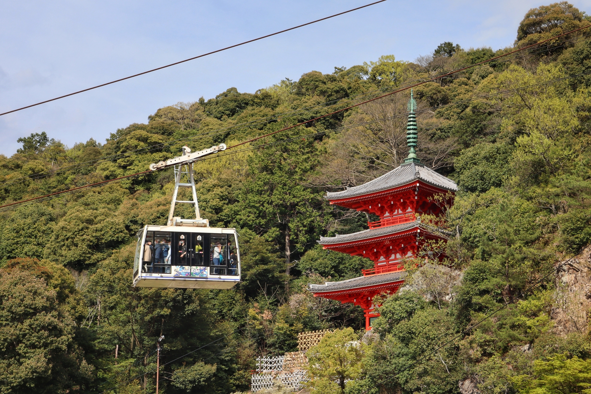 Discover Gifu Prefecture - Snow Monkey Resorts