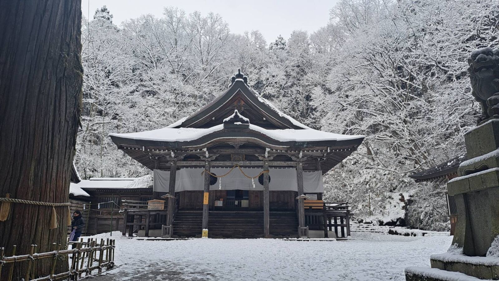 Best Places to Visit in Nagano During Winter - Snow Monkey Resorts