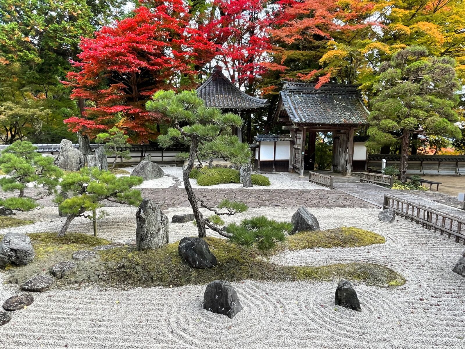 Vibrant Views of Autumn Leaves in Hakone - Snow Monkey Resorts