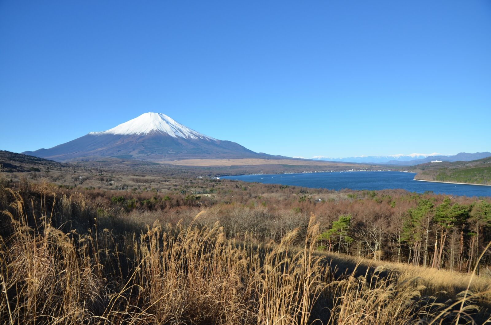 Stunning Spots for Autumn Leaves Around Mount Fuji - Snow Monkey Resorts