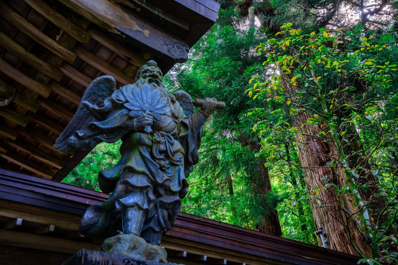 Vibrant Views of Autumn Leaves in Hakone - Snow Monkey Resorts