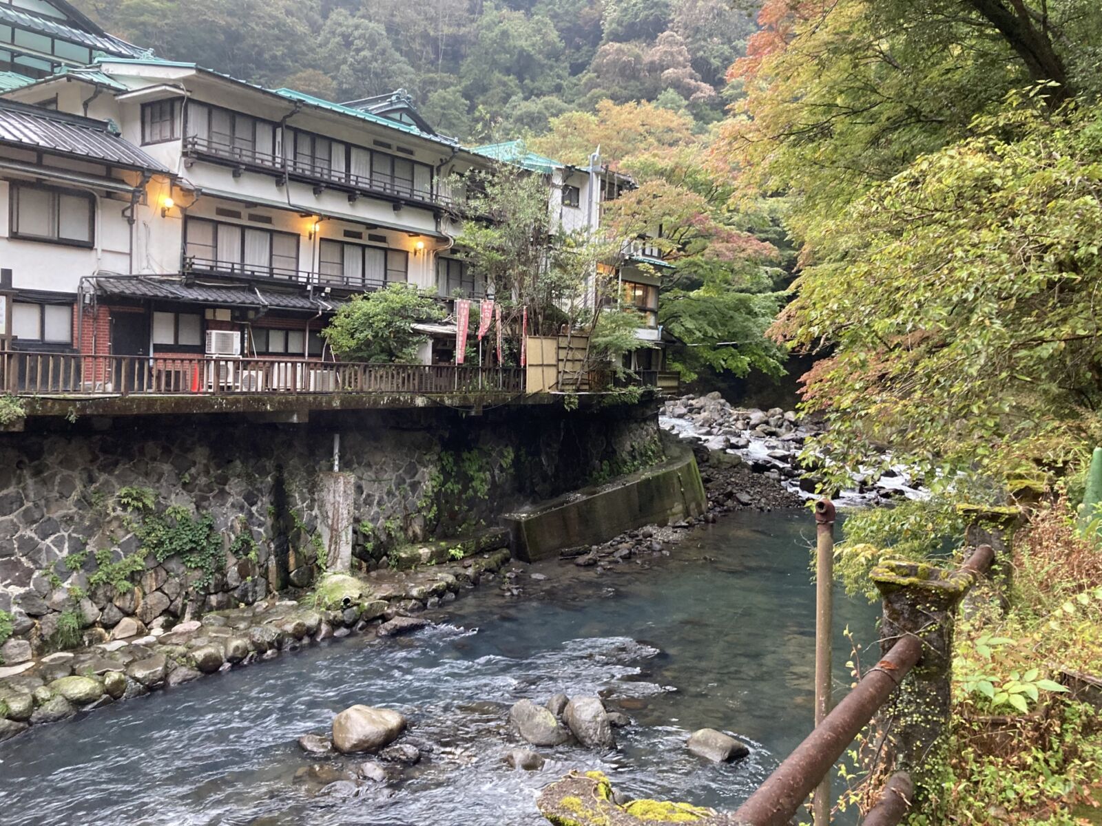 Vibrant Views of Autumn Leaves in Hakone - Snow Monkey Resorts