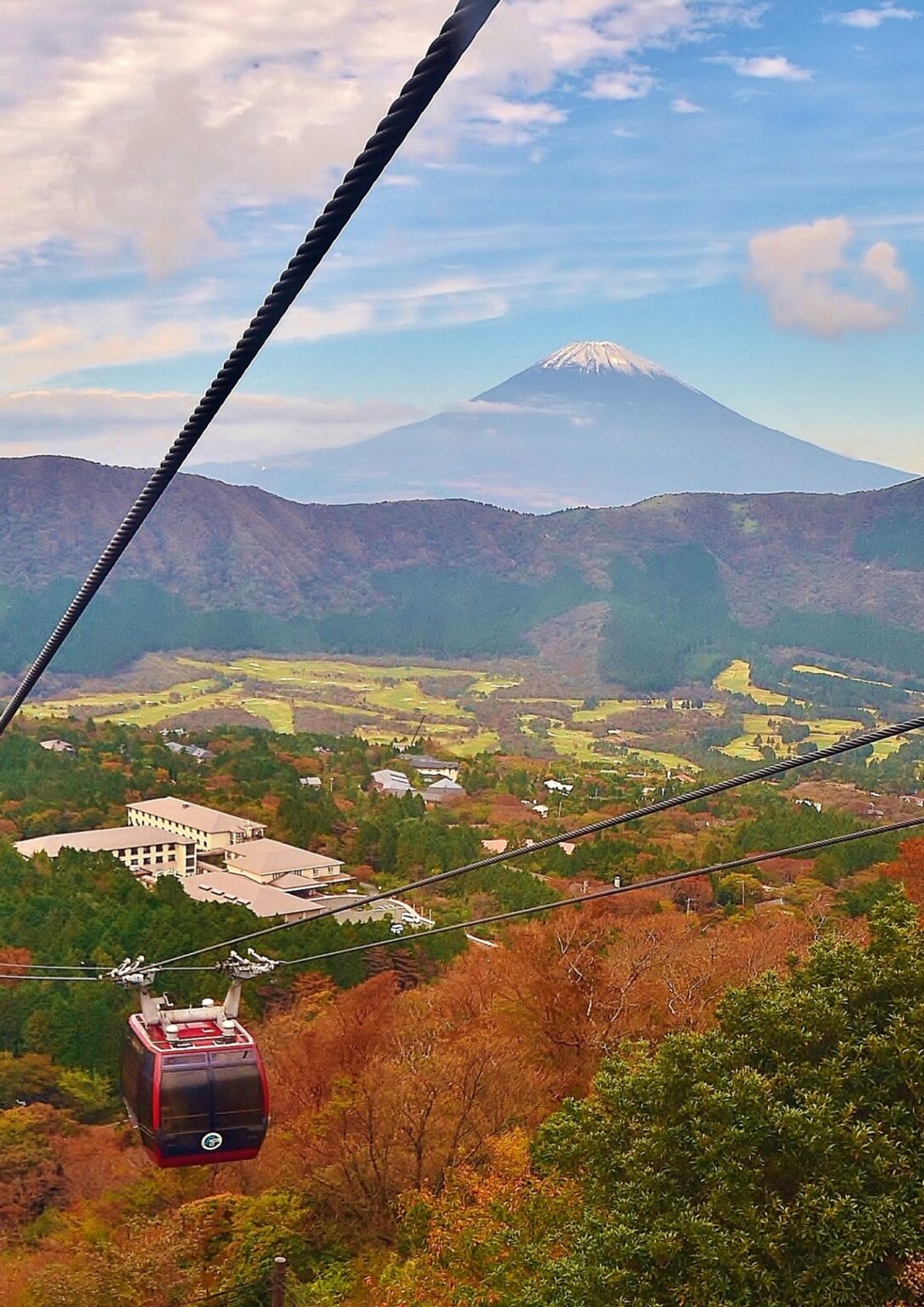 Vibrant Views of Autumn Leaves in Hakone - Snow Monkey Resorts