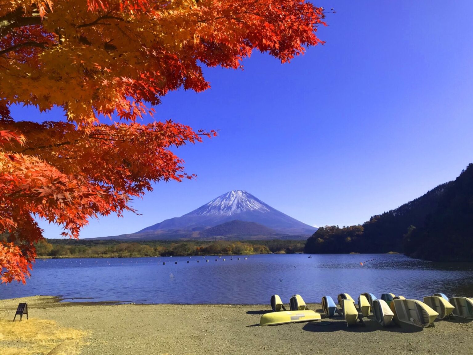 Stunning Spots for Autumn Leaves Around Mount Fuji - Snow Monkey Resorts