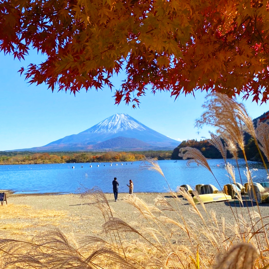 Stunning Spots for Autumn Leaves Around Mount Fuji - Snow Monkey Resorts