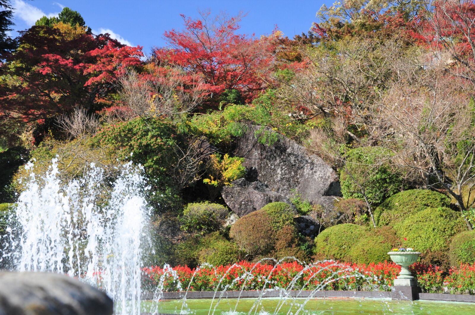 Vibrant Views of Autumn Leaves in Hakone - Snow Monkey Resorts