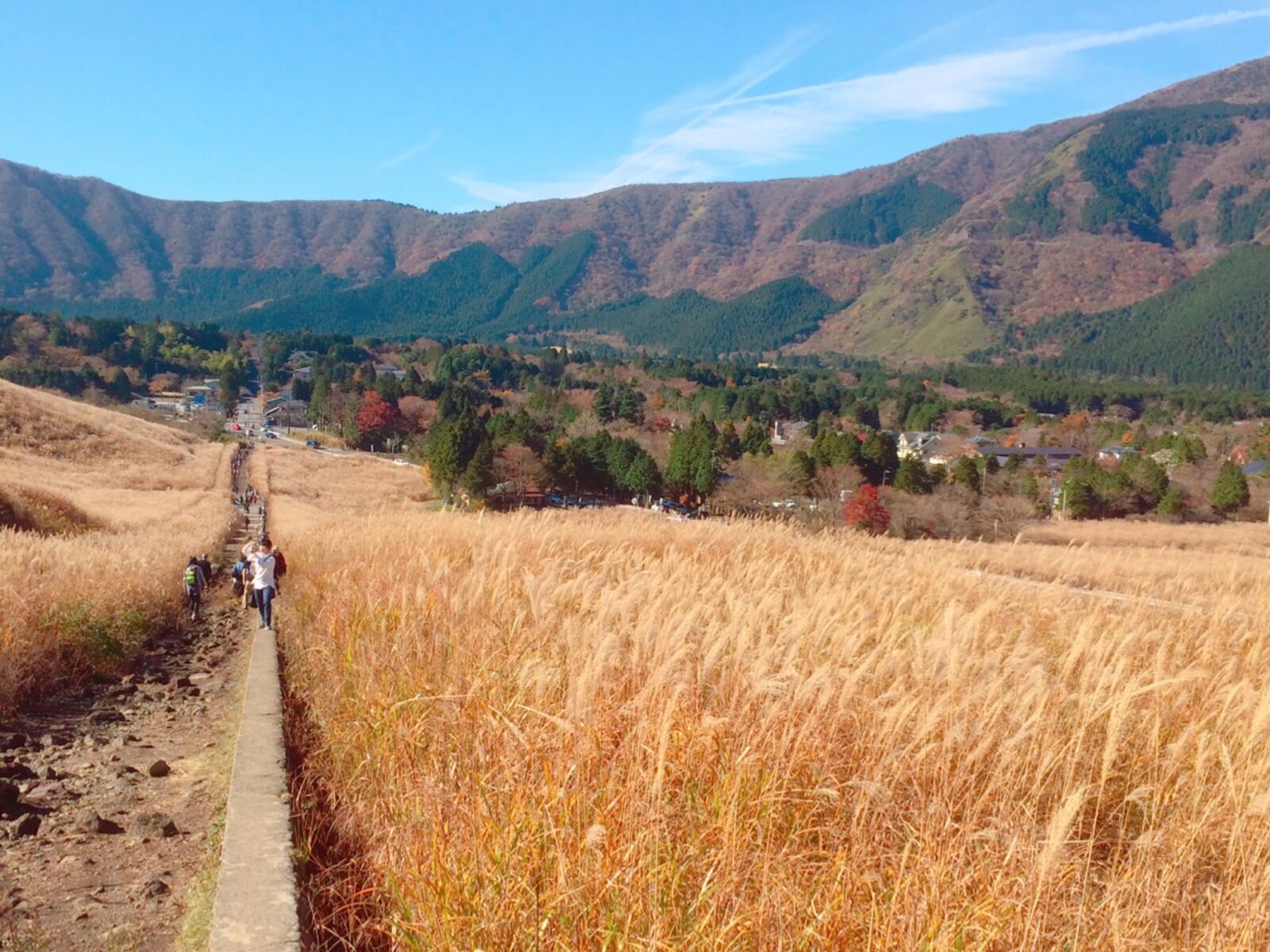 Vibrant Views of Autumn Leaves in Hakone - Snow Monkey Resorts