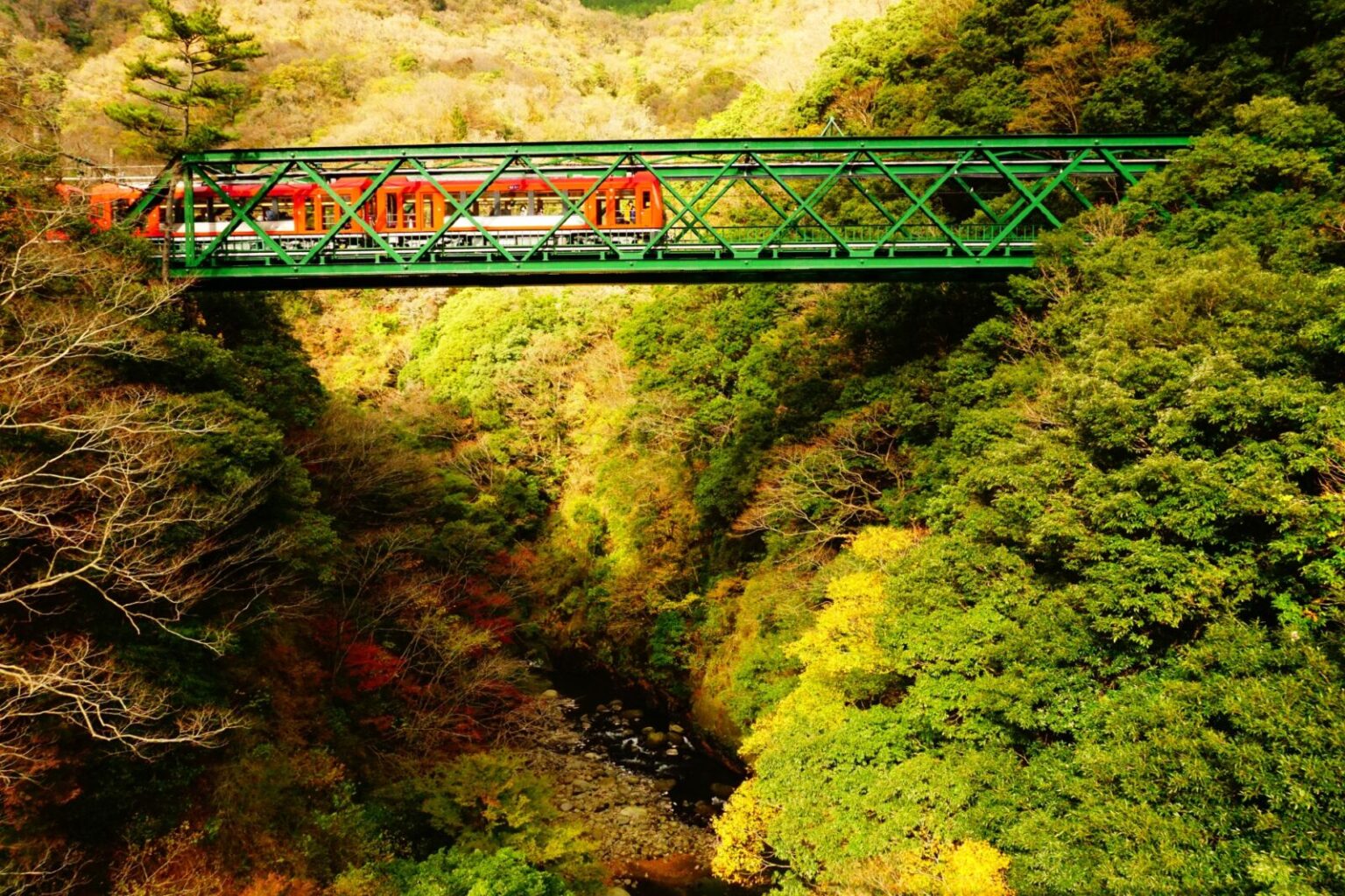 Vibrant Views of Autumn Leaves in Hakone - Snow Monkey Resorts