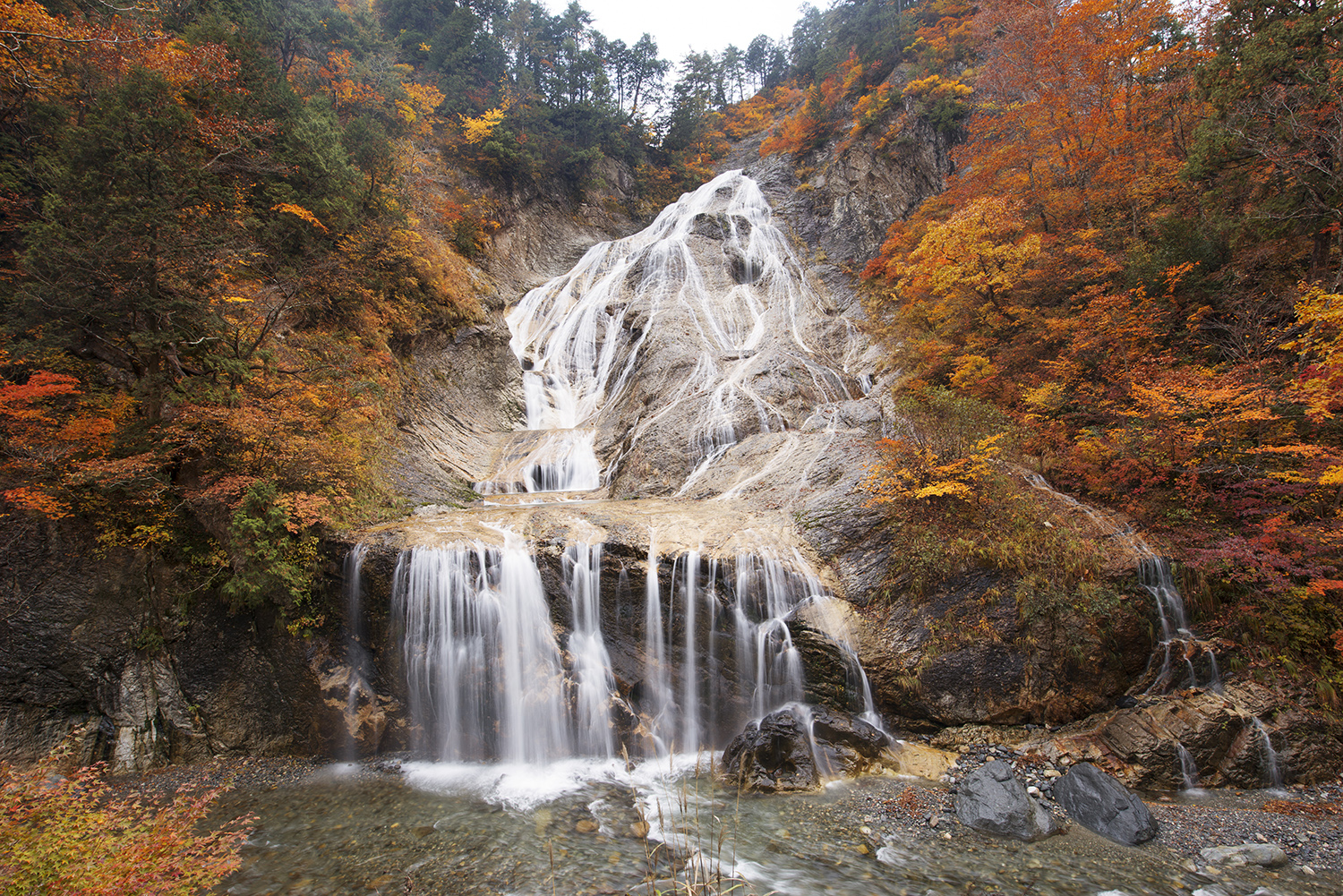 Limited Express Thunderbird (Osaka-Kyoto-Tsuruga) - Snow Monkey Resorts