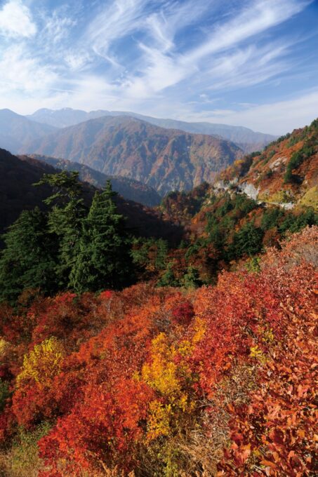 1 Day Tour from Kanazawa: Tedori Gorge, Hakusan White Road and ...