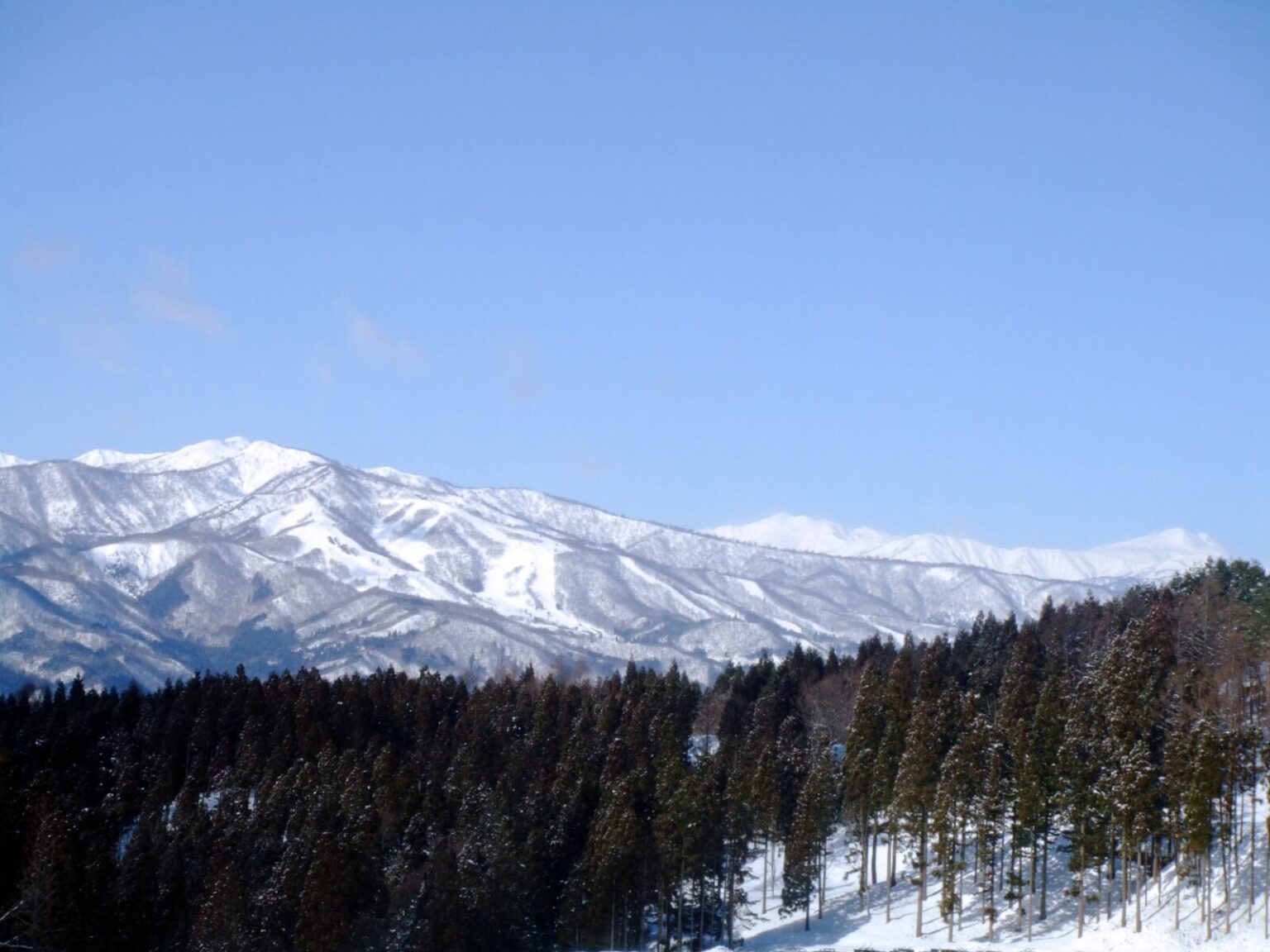 Nagoya's Best Spots for Snow and Winter Activities - Snow Monkey Resorts