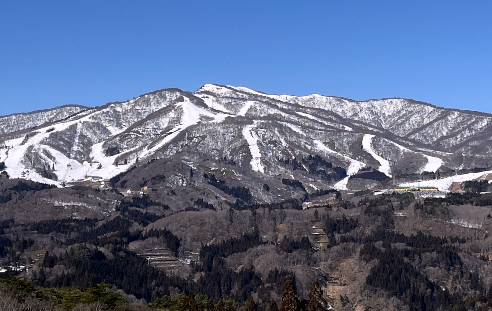 Nagoya's Best Spots for Snow and Winter Activities - Snow Monkey Resorts