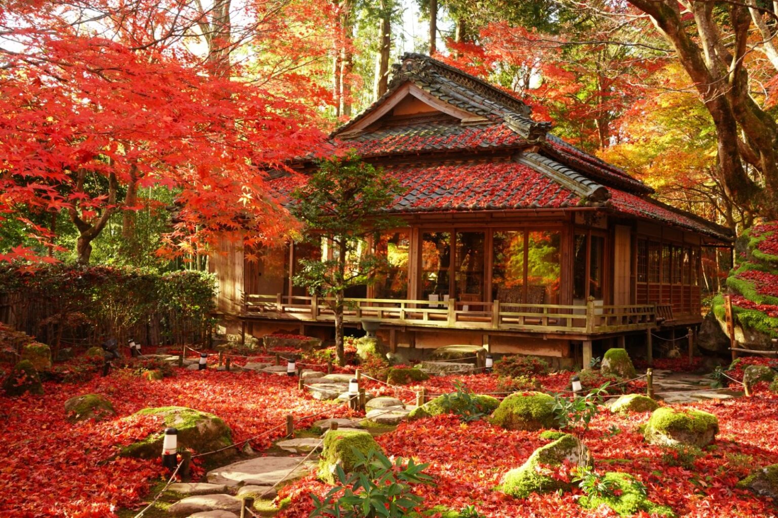 Best Seasons for Travel in Nagoya: Cherry Blossoms, Autumn Leaves ...