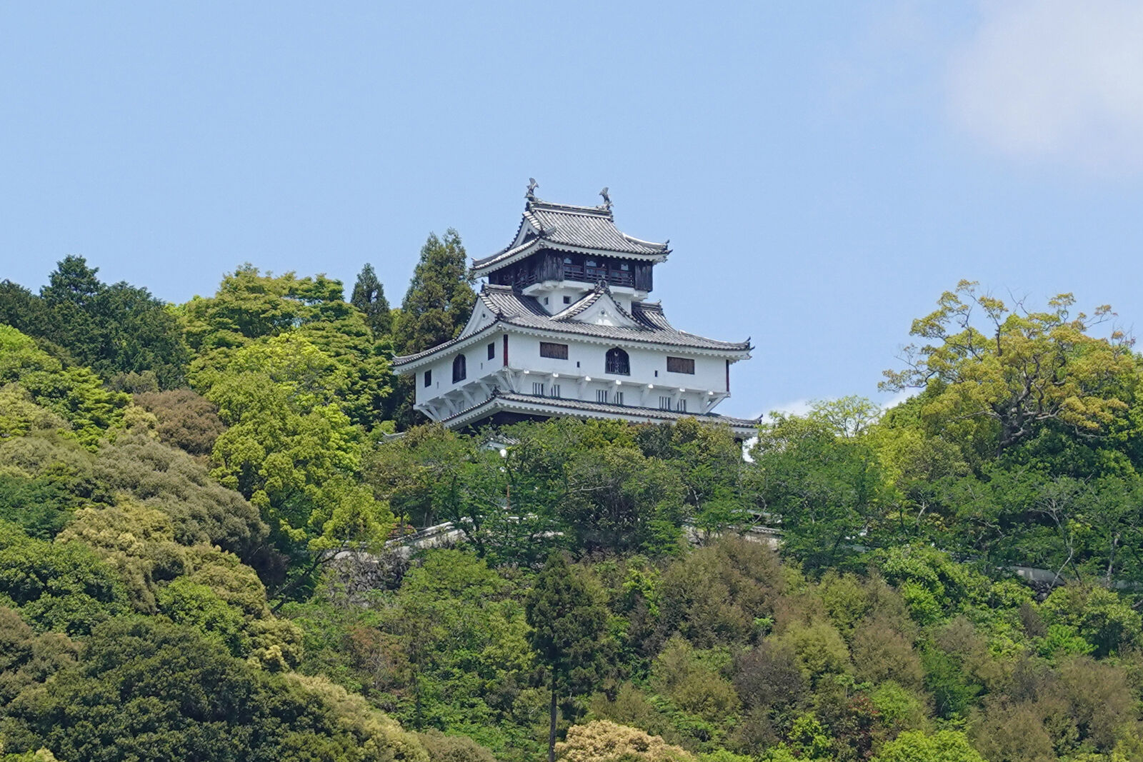 Iwakuni Castle - Snow Monkey Resorts