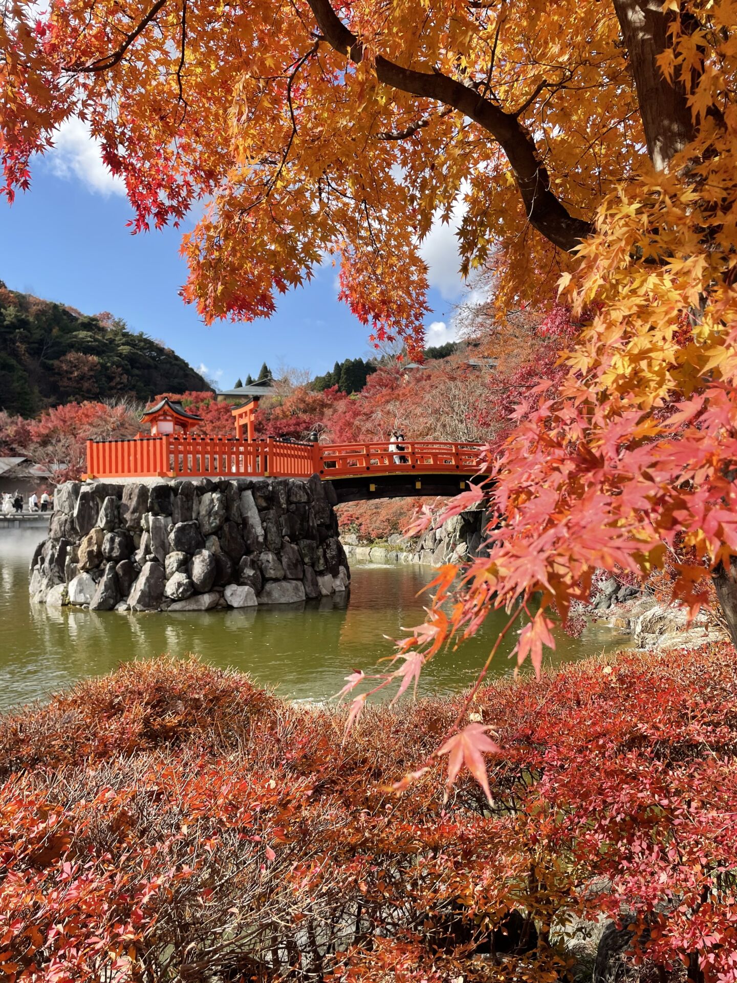 Best Spots for Autumn Leaves Around Osaka - Snow Monkey Resorts