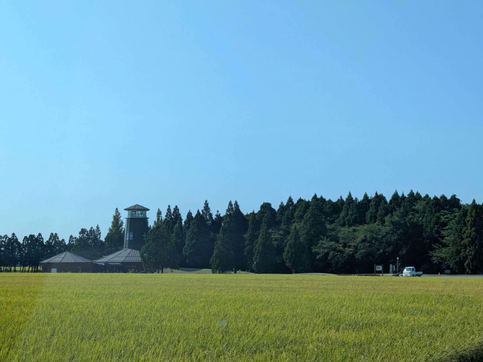 Sugisawa Spring Water Cedar Forest - Snow Monkey Resorts
