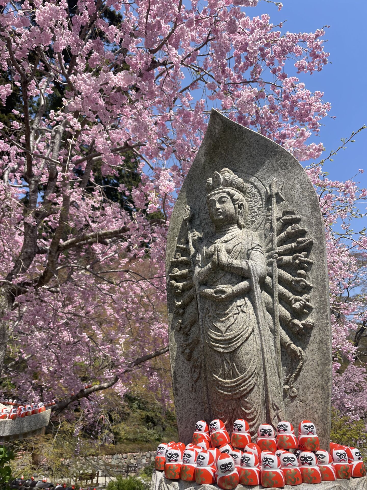 Cherry Blossoms in Osaka: When and Where to Enjoy the 2026 Season ...