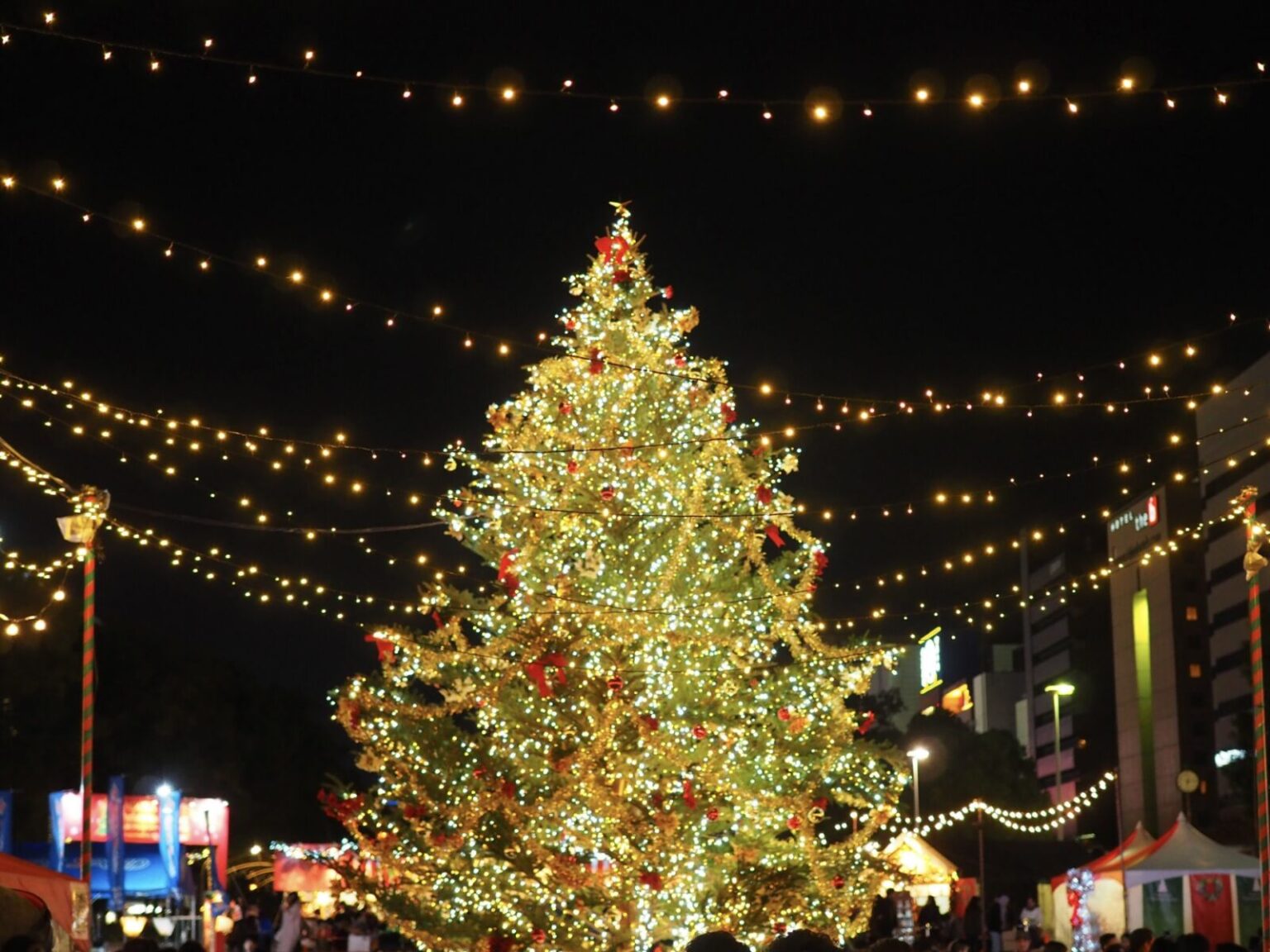 Nagoya in December 2025 - What to Know - Snow Monkey Resorts