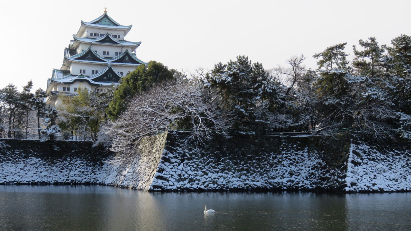 Nagoya in December 2025 - What to Know - Snow Monkey Resorts