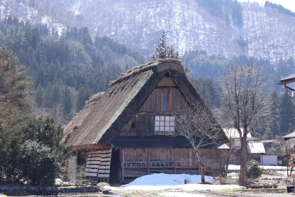 2026年3月的高山 — 您需要了解的事項 - SNOW MONKEY RESORTS