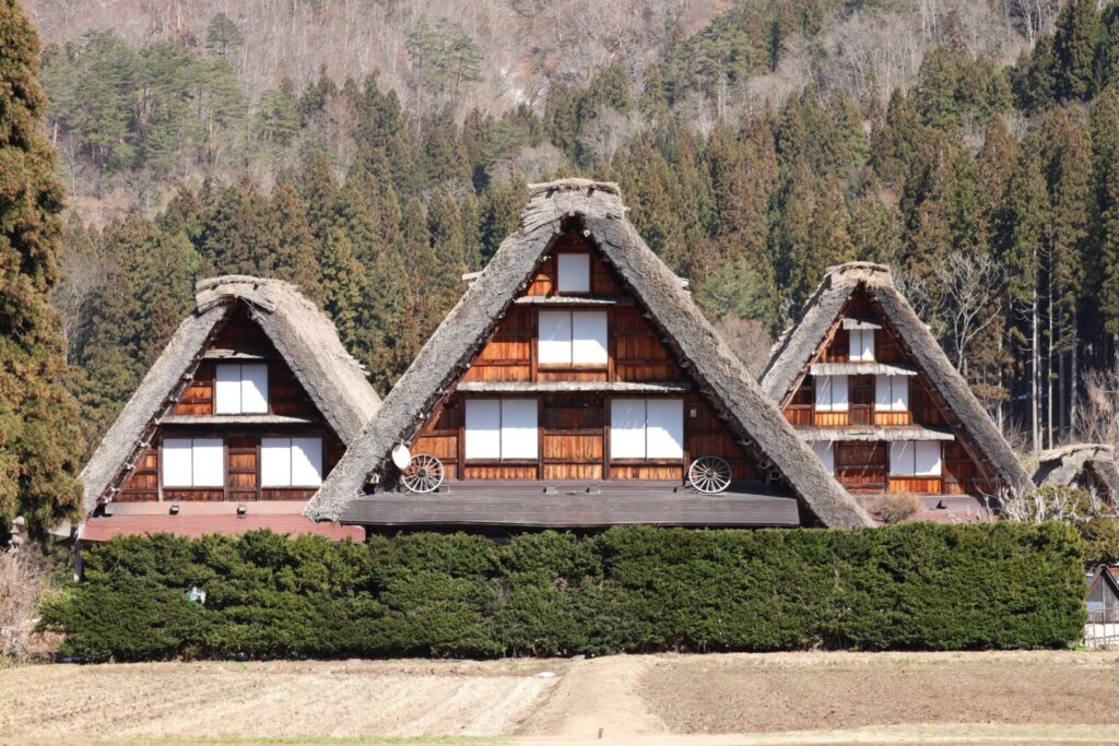 2026年3月的白川鄉 — 您需要了解的事項 - SNOW MONKEY RESORTS