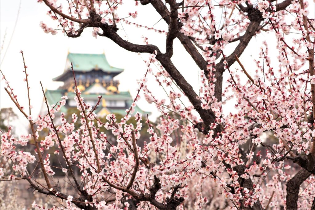 Osaka in February 2026 - What to Know - Snow Monkey Resorts