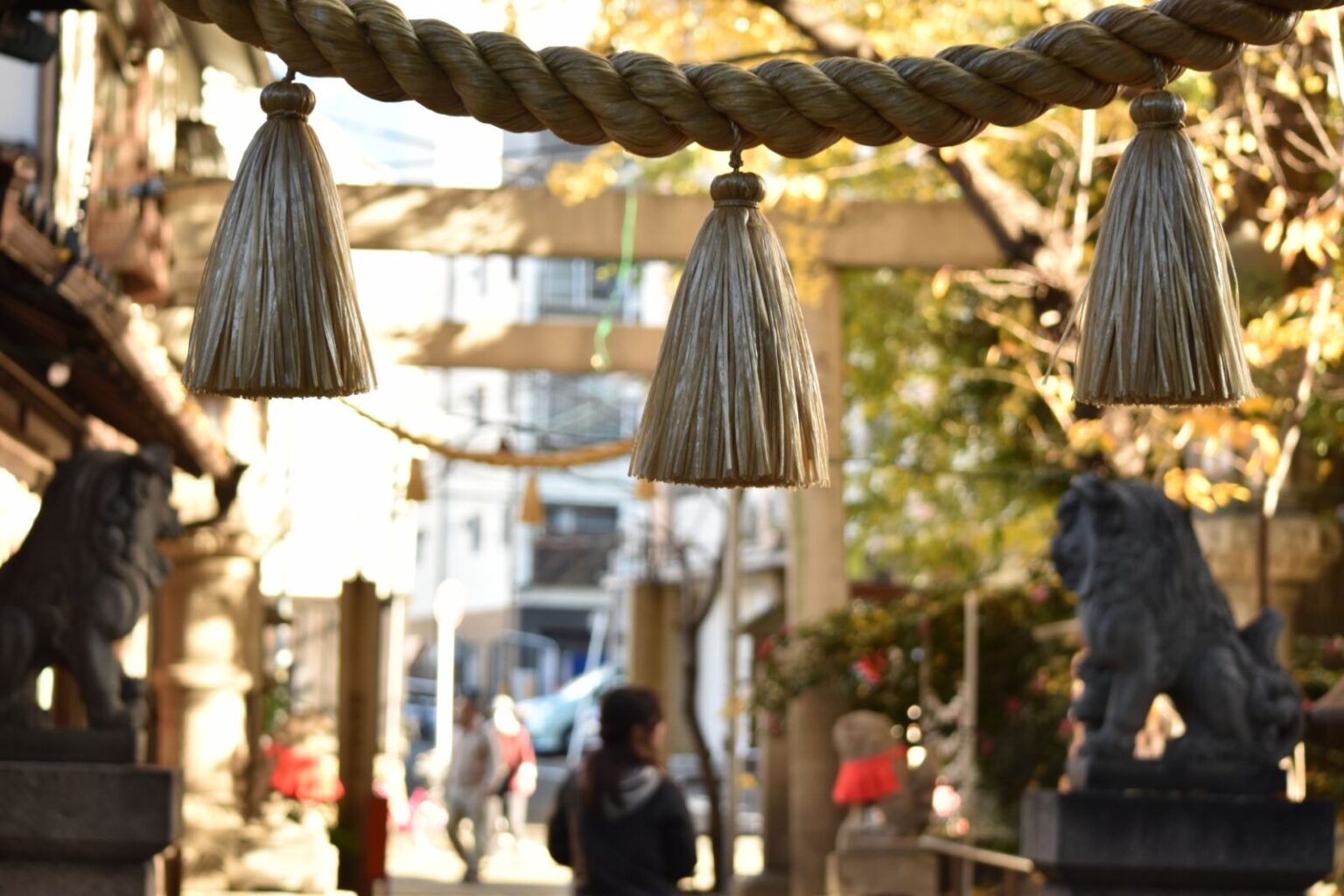 Nagoya in January 2026 - What to Know - Snow Monkey Resorts