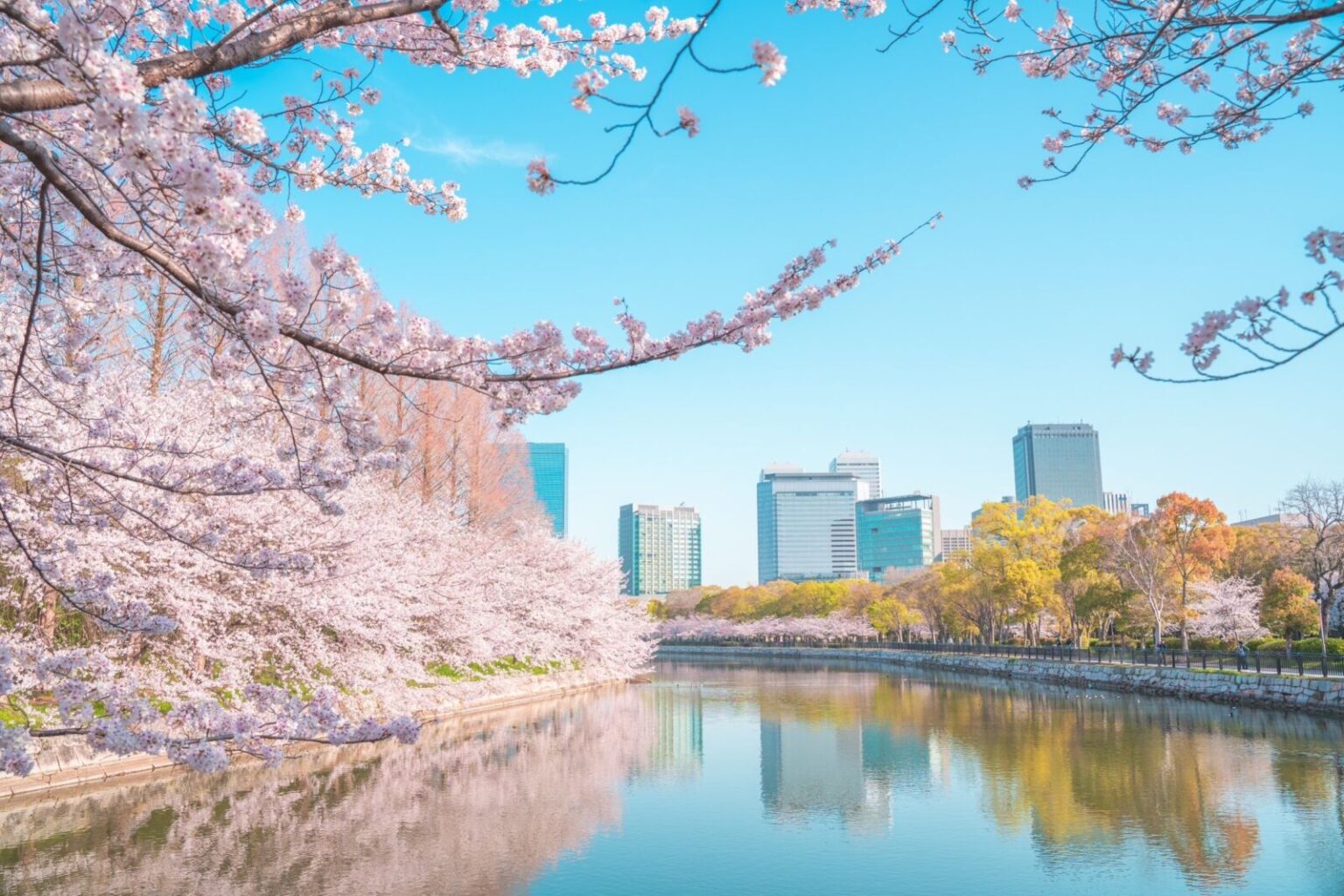 Osaka in April 2026 - What to Know - Snow Monkey Resorts